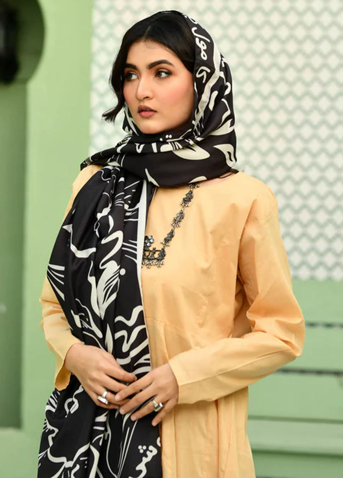 TNG Pret Plain Blended Cotton 2 Piece Suit Nyra Skin – Sanaulla Store